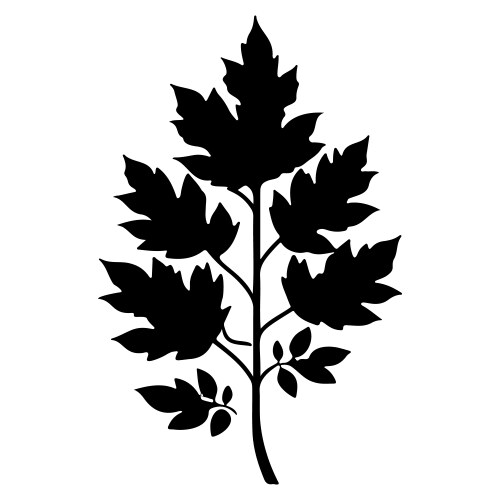 Oak leaf plant leaves floral sketch Royalty Free Vector