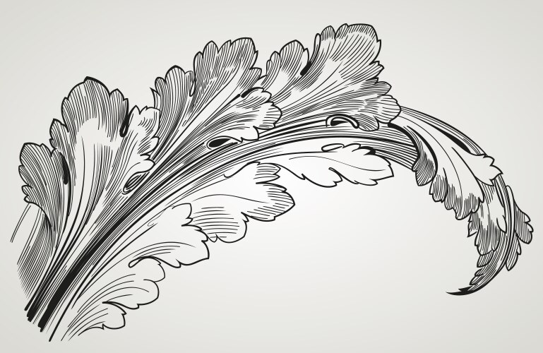 Ornate Scroll Vector Images (over 64,000)