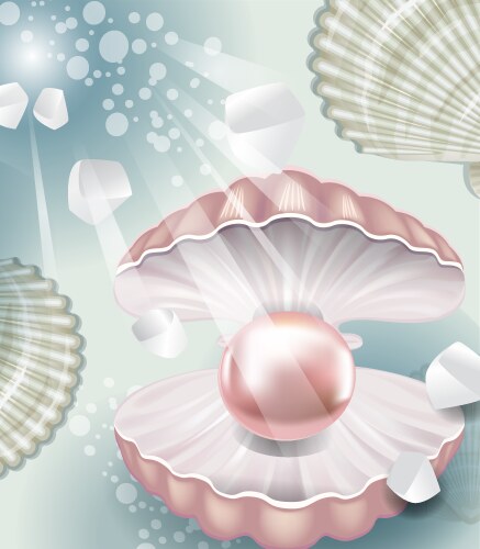 Realistic beautiful natural open sea pearl shell Vector Image