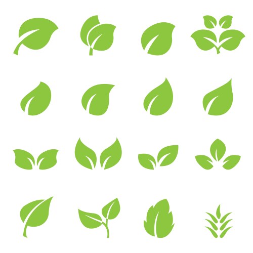 Leaf Vector Images (over 2.3 million)