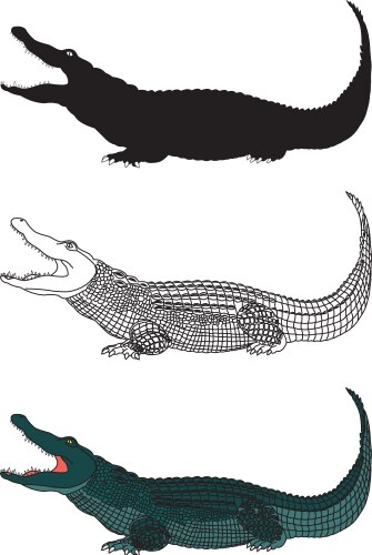 Crocodile Vector Images (over 23,000)
