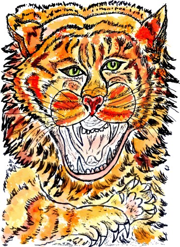 Tiger head front view face Royalty Free Vector Image