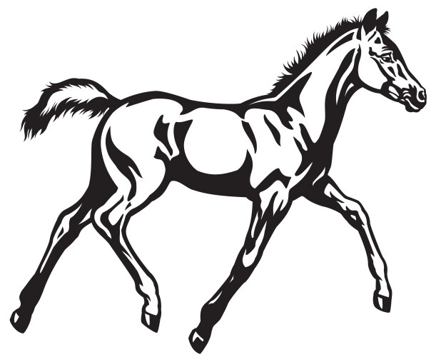 Horses - mare and foal Royalty Free Vector Image