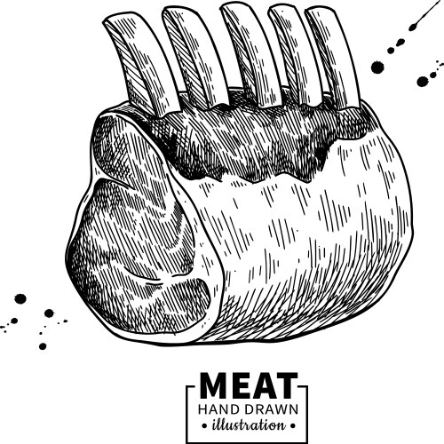 Raw meat set drawing hand drawn beef steak Vector Image