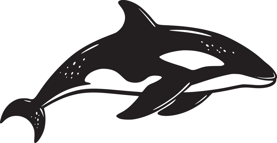 Whale Black and White Vector Images (over 13,000)