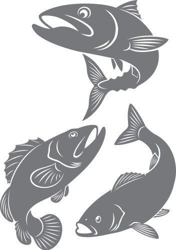 Walleye Vector Images (over 520)