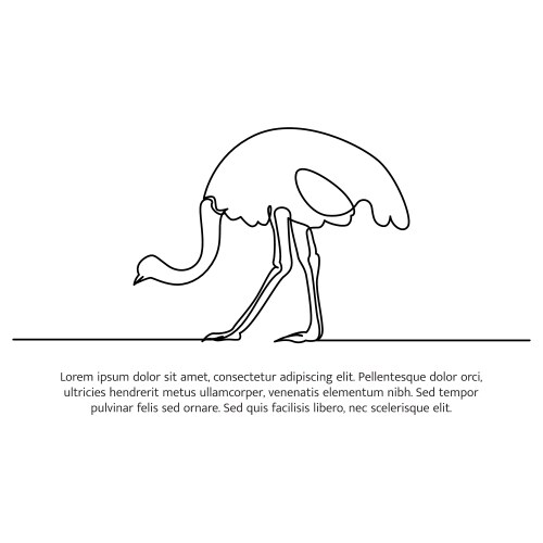 Ostrich line design simple animal silhouette Vector Image