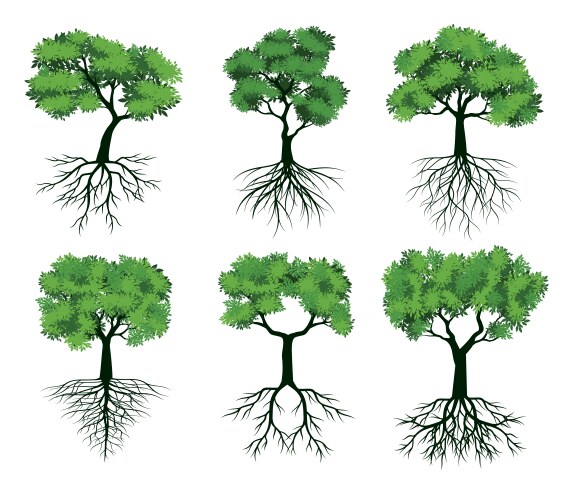 Tree Roots Vector Images (over 17,000)