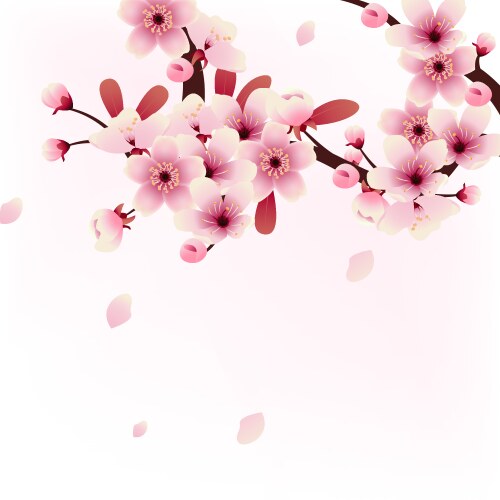 Free Sakura Vector Images (over 500)