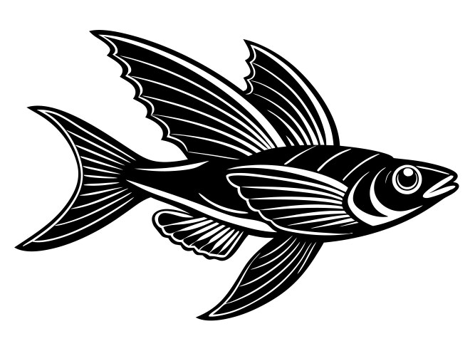 Flying Fish Vector Images (over 10,000)