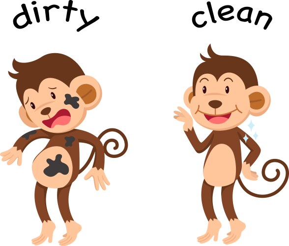 Opposite adjectives dirty and clean Royalty Free Vector