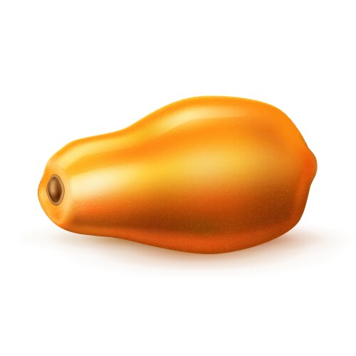 Papaya Vector Images (over 11,000)
