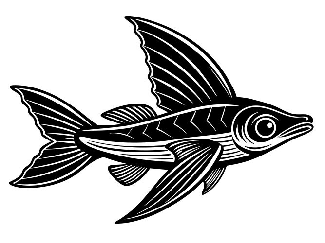 Flying Fish Vector Images (over 10,000)