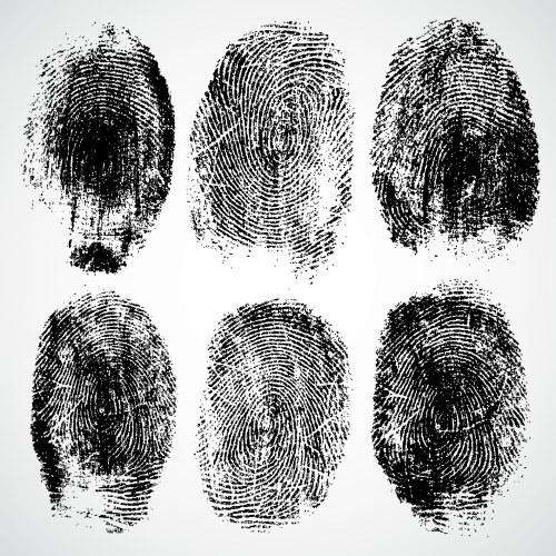 Fingerprints Royalty Free Vector Image - VectorStock