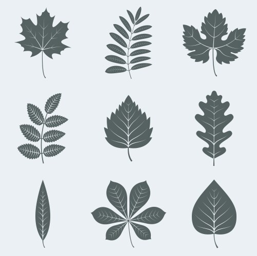 Leaves Vector Images (over 690,000)