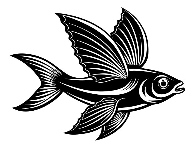 Flying Fish Vector Images (over 10,000)