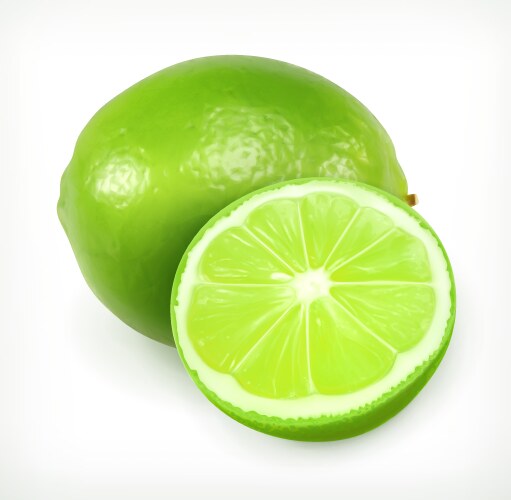 Lime Vector Images (over 240,000)