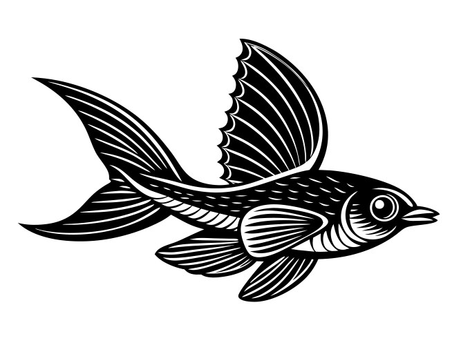 Flying Fish Vector Images (over 10,000)