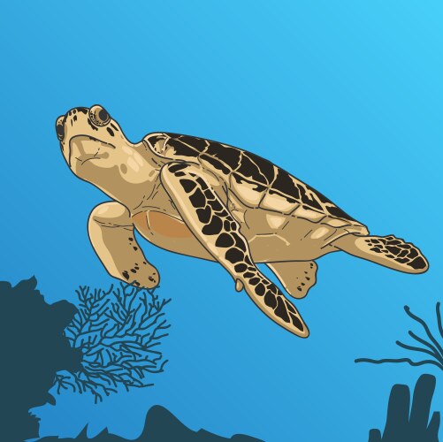 Free Turtle Vector Images (over 1,800)