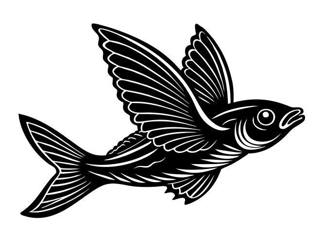Flying Fish Vector Images (over 11,000)