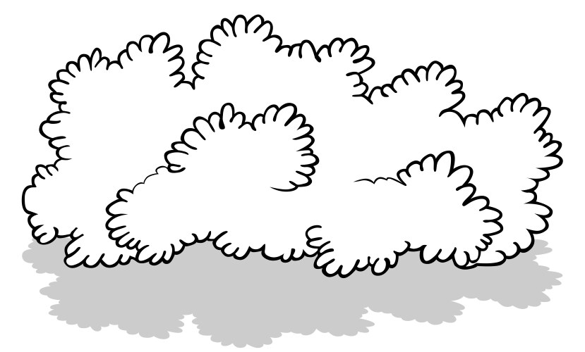 Bush Drawing Vector Images (over 19,000)