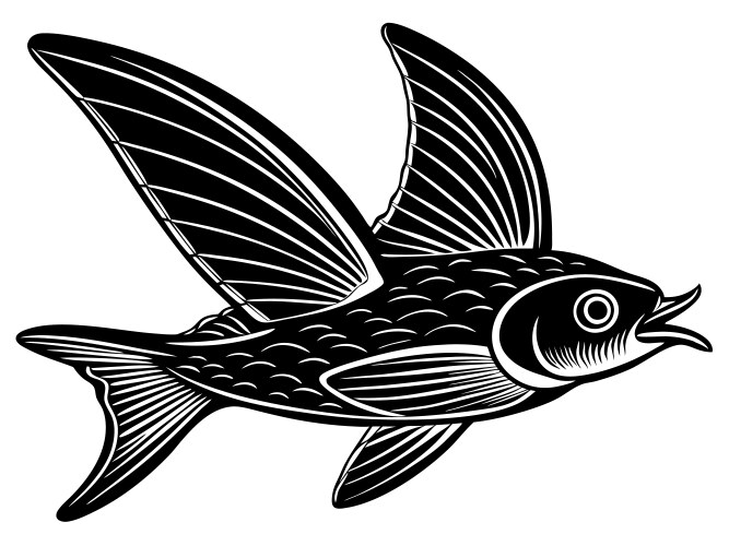 Flying Fish Vector Images (over 10,000)