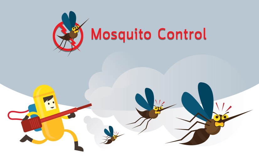 Mosquito Vector Images (over 16,000)
