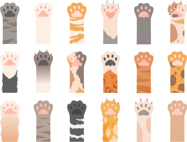 Different cat paws set collection various cute Vector Image
