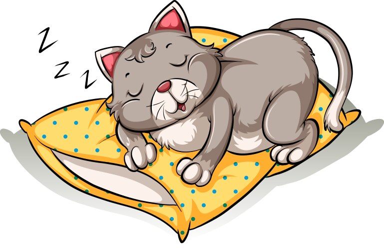 Ragdoll cat cartoon animal Royalty Free Vector Image