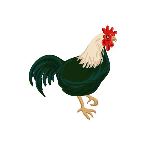 Rooster Drawing Vector Images (over 12,000)