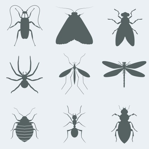 Insects beetles icons set flat style Royalty Free Vector