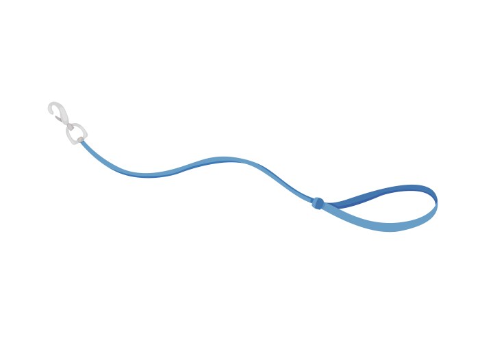 Cartoon Dog Leash Vector Images (over 4,700)