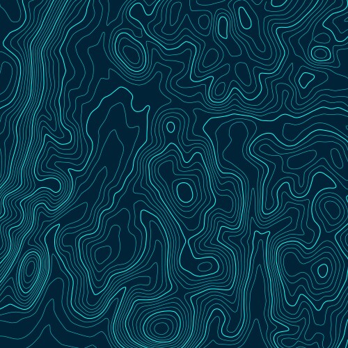 Topographic map seamless pattern background Vector Image