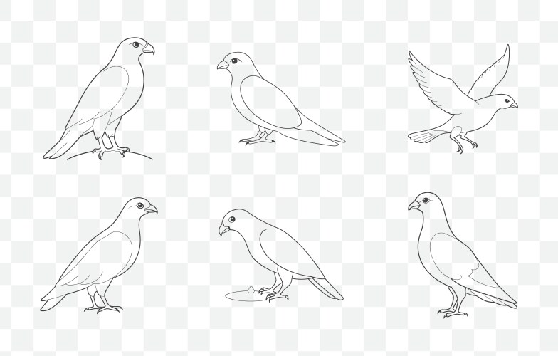 Sparrowhawk Vector Images (over 140)