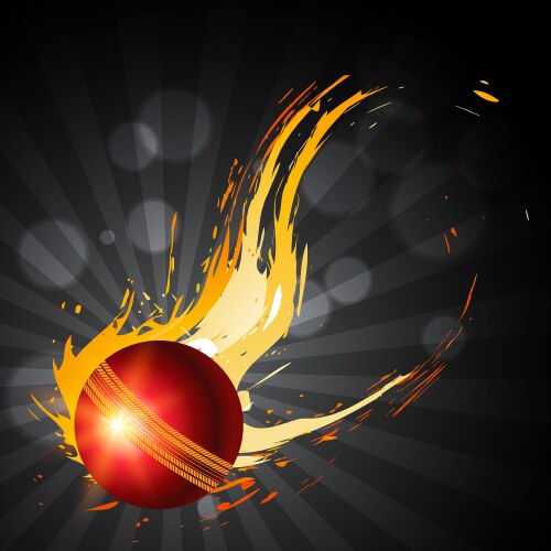Cricket background Royalty Free Vector Image - VectorStock