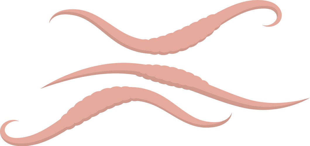 Cute smiling worm cartoon character earthworm Vector Image