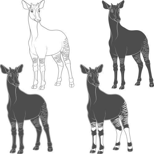 Okapi Vector Images (over 250)