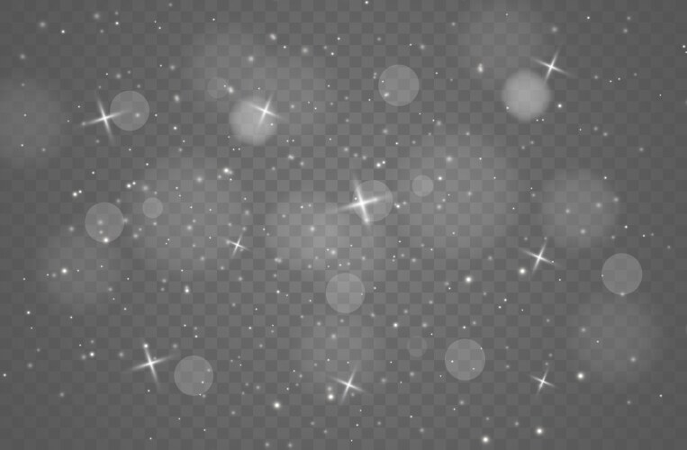 Snow and wind on a transparent background white Vector Image