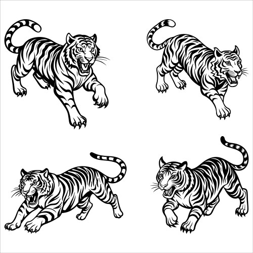Tiger pouncing svg Royalty Free Vector Image - VectorStock