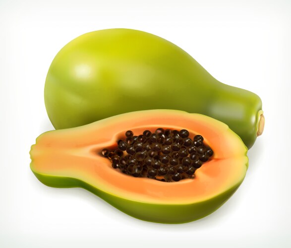 Papaya set pawpaw slice and whole juicy fruit Vector Image