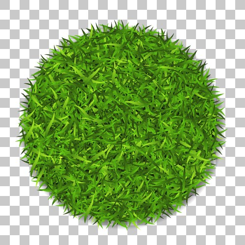 Grass circle 3d green plant grassy round field Vector Image