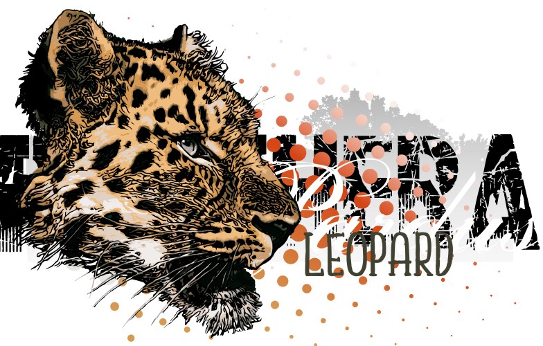Leopard Vector Images (over 40,000)