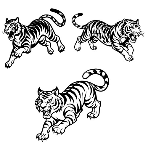 Tiger walking svg Royalty Free Vector Image - VectorStock