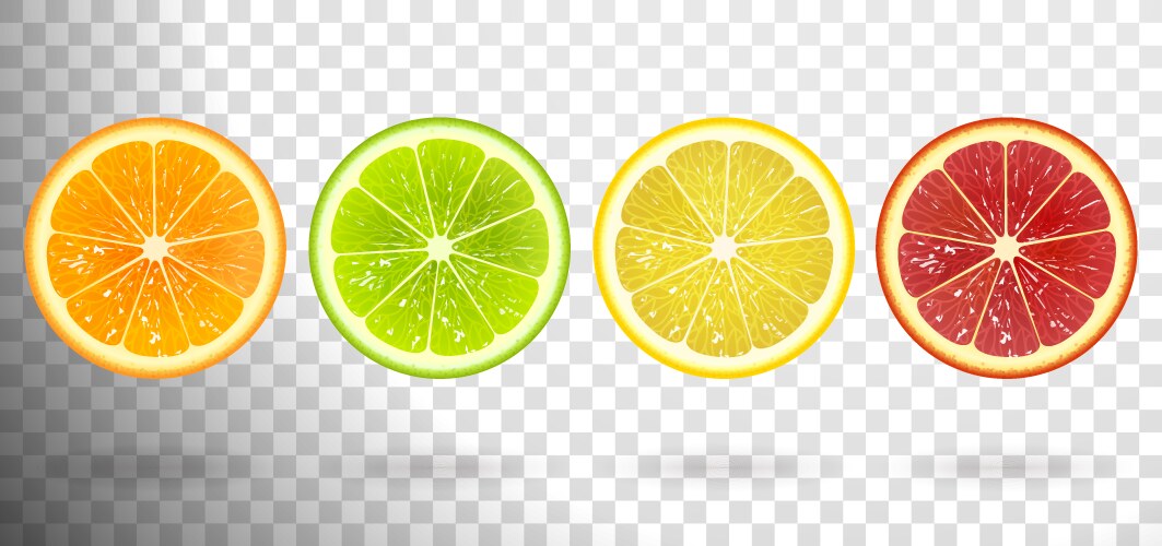 Citrus Vector Images (over 99,000)