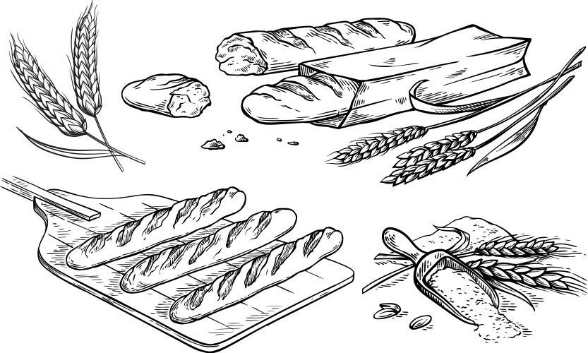 Ingredients and bread set Royalty Free Vector Image