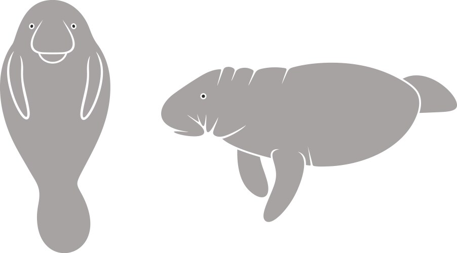 Manatee Logo Vector Images (89)
