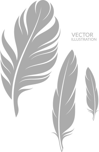 Writing feather paint with flying birds and book Vector Image