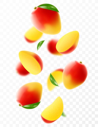 Mango background flying with green leaves Vector Image