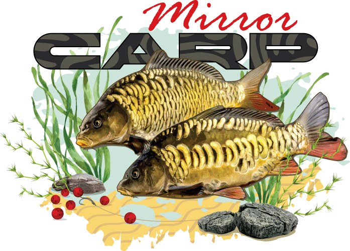 Shimano Vector Images (over 270)