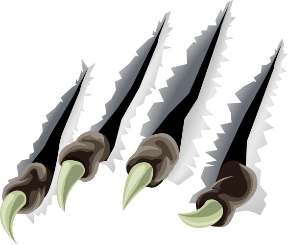 Claws scratches on white background Royalty Free Vector